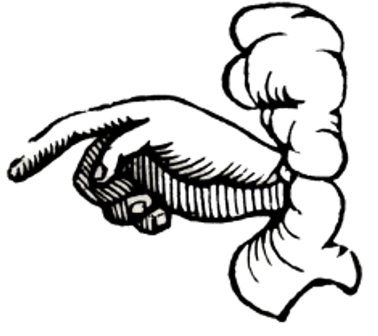 Amelie Vandemoortele: The Forbidden Ink